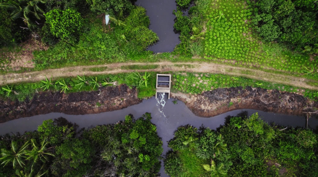 Sustainability Video Production | Bold Content Video Production