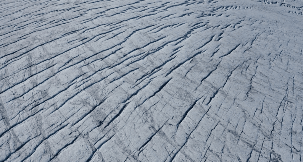 Colt x Arctic Arts | Bold Content Video Production